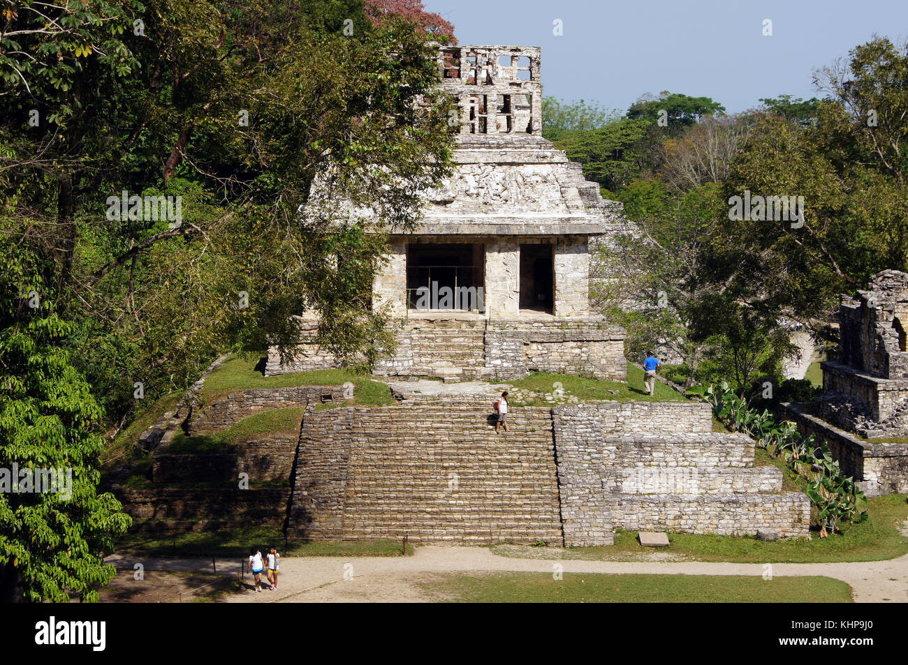 Tempie maya nella giungla a palenque in chiapas messico immagini e ...