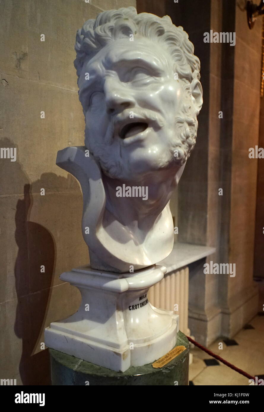 Busto romano di Milo di Crotone, un 6th-secolo a.c. lottatore dalla ...