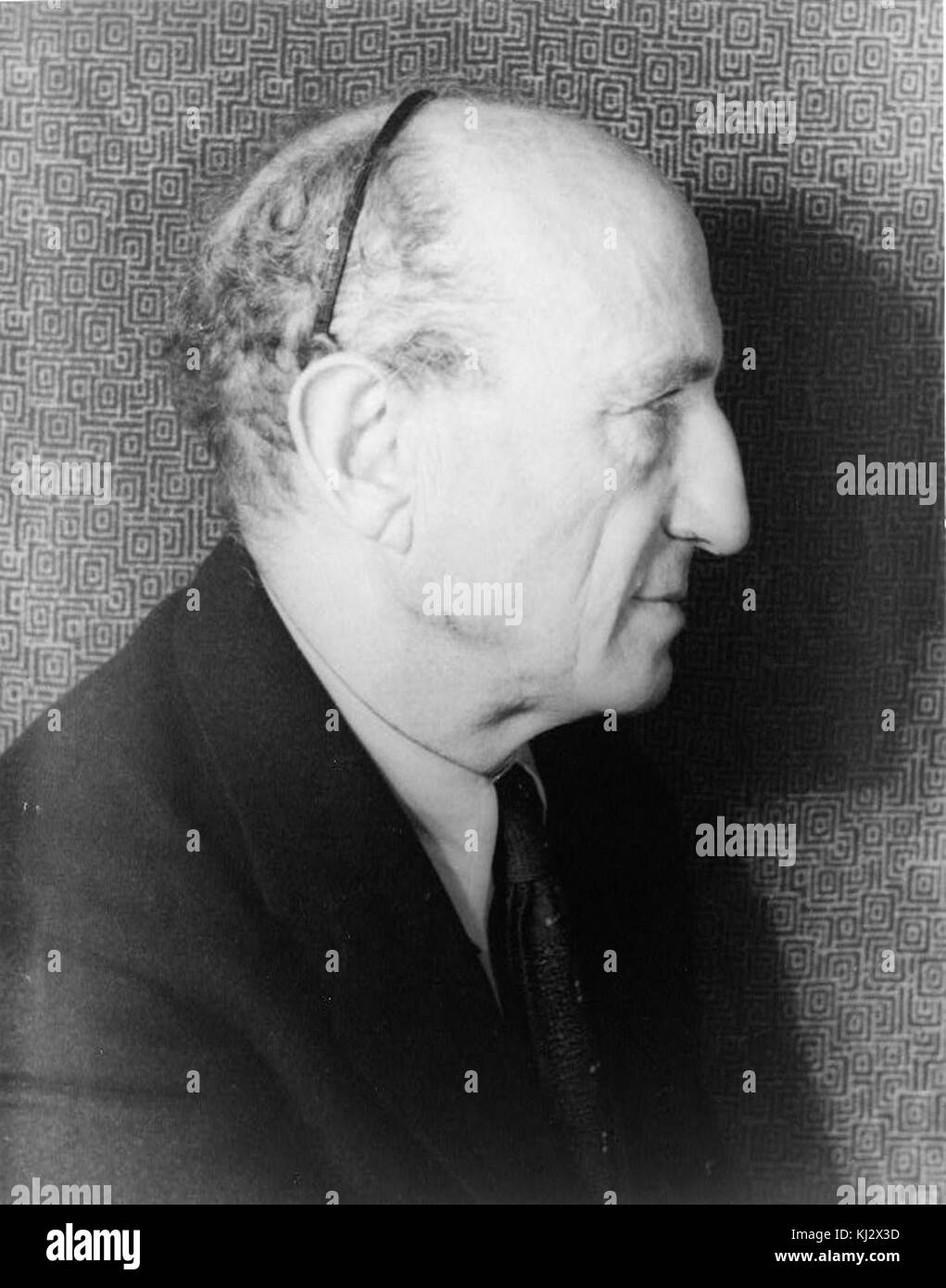 Leo stein immagini e fotografie stock ad alta risoluzione - Alamy
