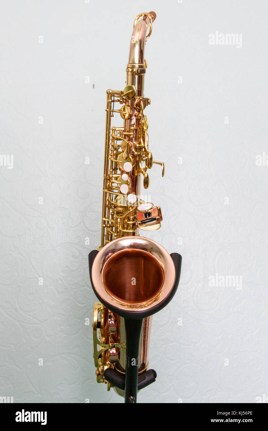 Sassofono e supporto immagini e fotografie stock ad alta risoluzione ...