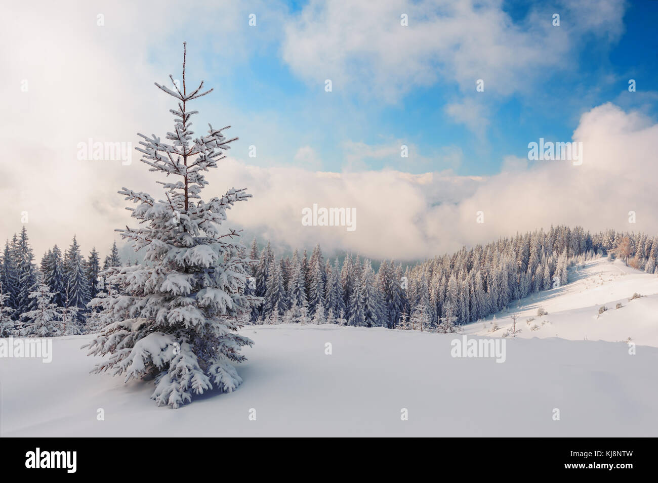 Paesaggio invernale immagini e fotografie stock ad alta risoluzione - Alamy