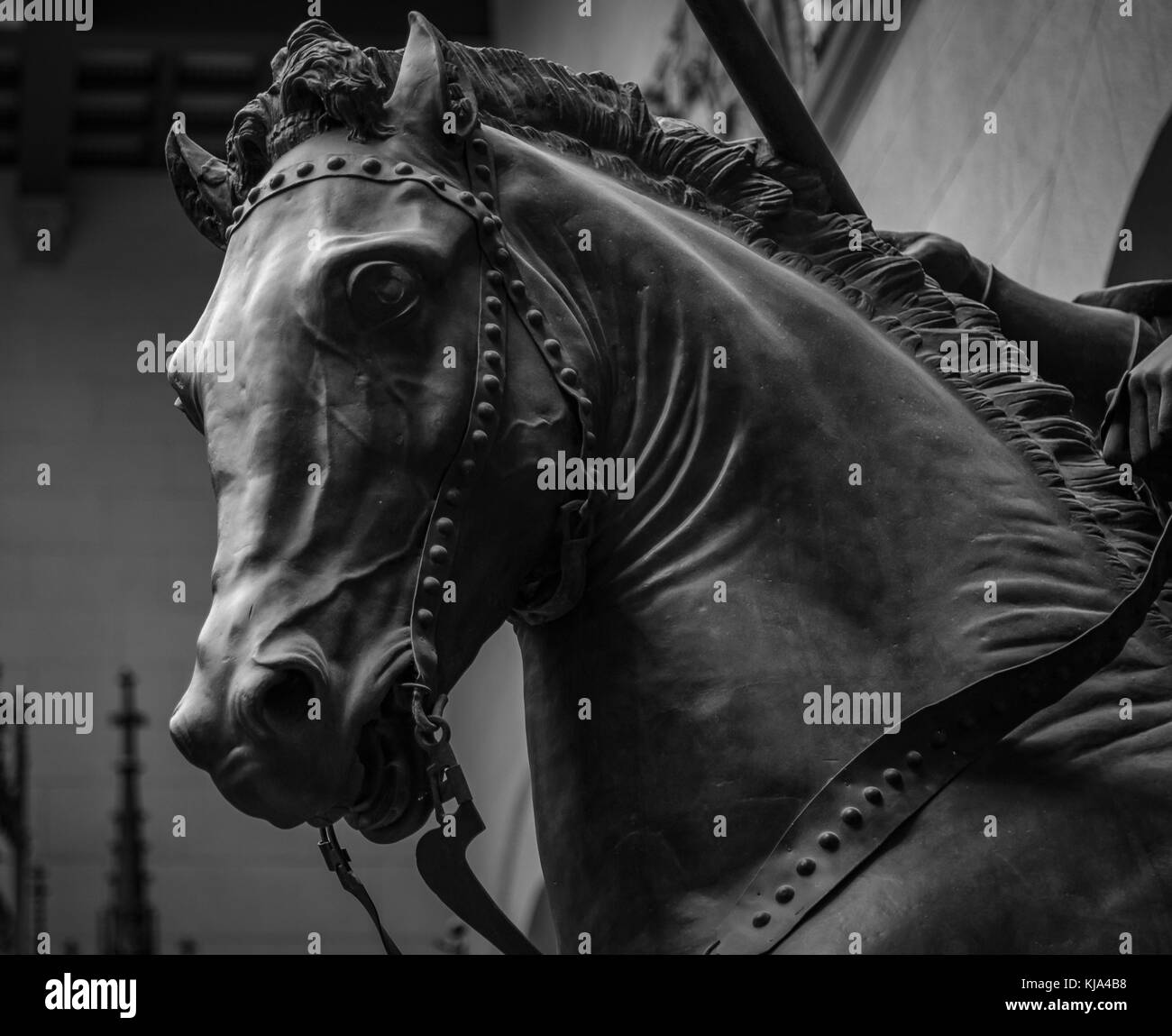 Testa di cavallo antico immagini e fotografie stock ad alta risoluzione ...