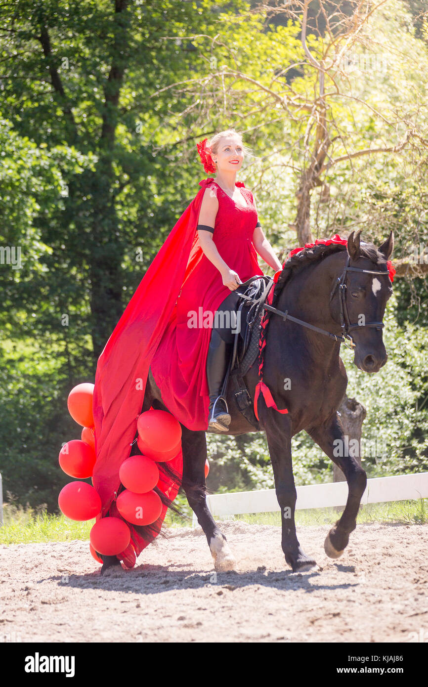Puro Cavallo Spagnolo andaluso. Rider in abito rosso su uno stallone ...