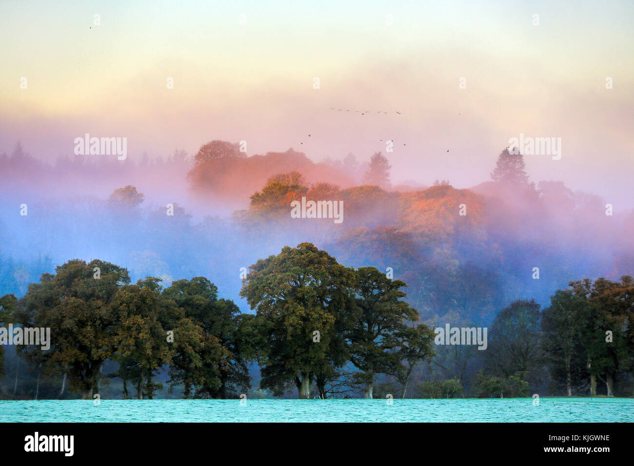 Alba della terra immagini e fotografie stock ad alta risoluzione - Alamy
