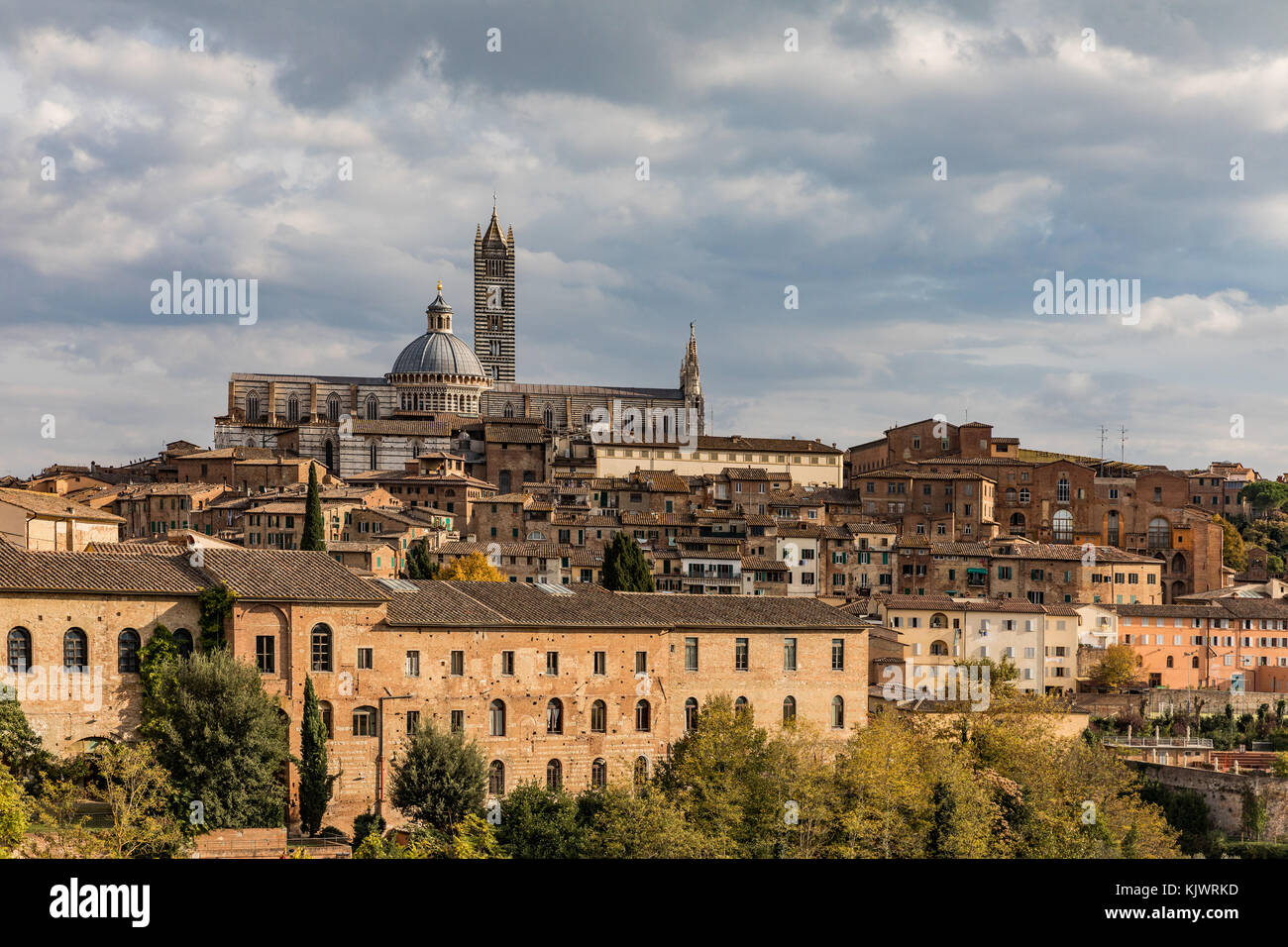 La cattedrale di siena immagini e fotografie stock ad alta risoluzione ...