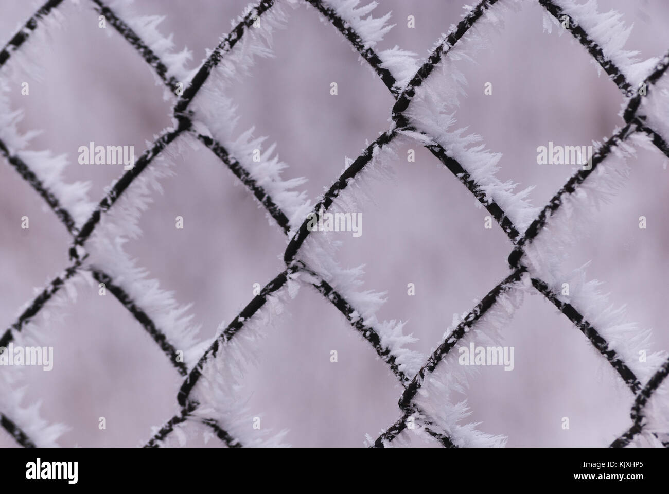 Recinzione di filo spinato brina congelamento freddo immagini e ...