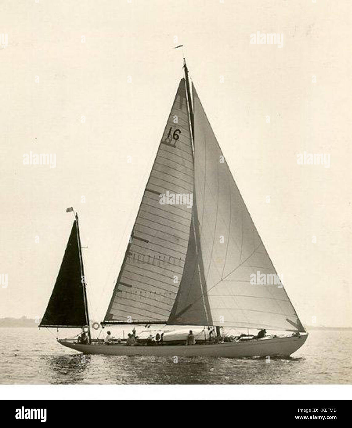 Fotografia rosenfeld immagini e fotografie stock ad alta risoluzione ...