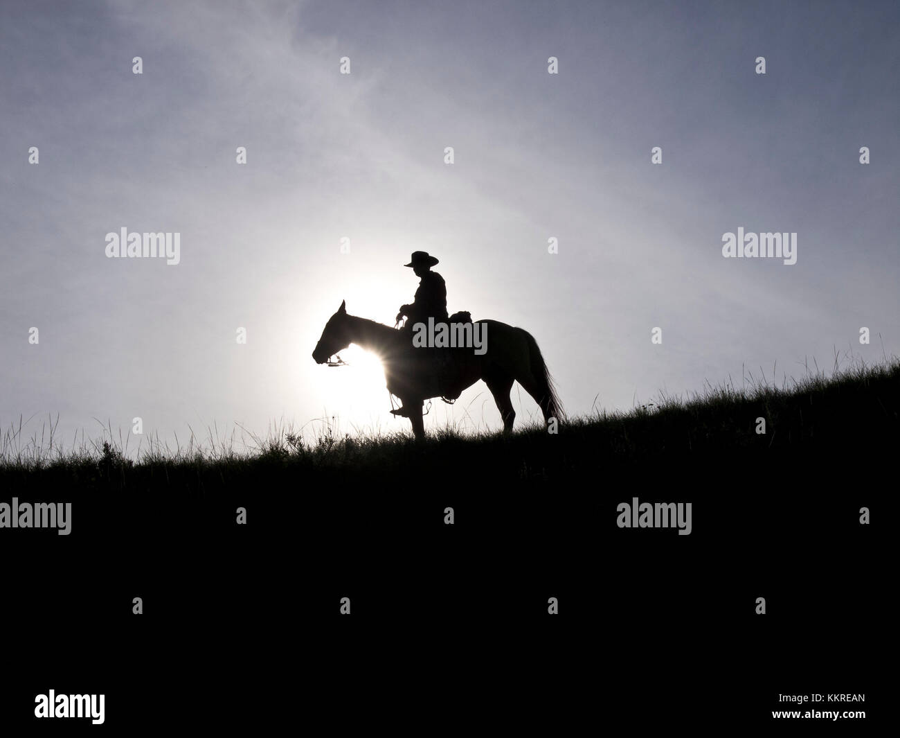 Sagoma di cavallo da cowboy immagini e fotografie stock ad alta ...