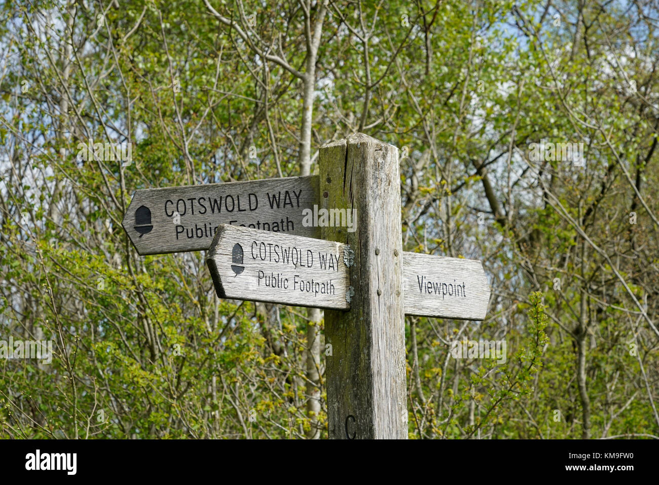 Stinchcombe hill immagini e fotografie stock ad alta risoluzione - Alamy