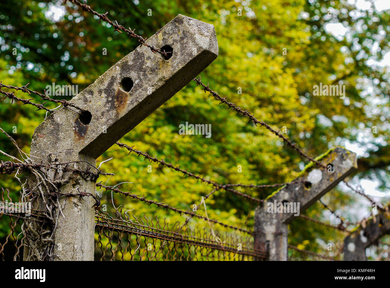 Palo di recinzione in cemento e filo spinato immagini e fotografie ...