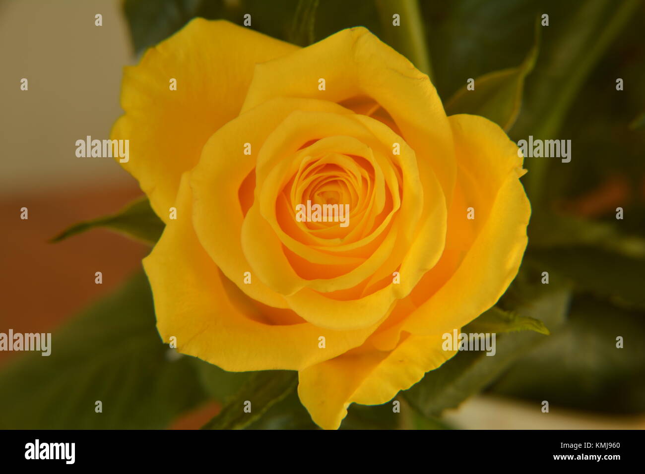 Peeling intenso immagini e fotografie stock ad alta risoluzione - Alamy