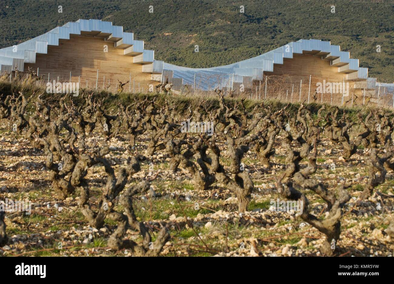 Rioja alavesa santiago calatrava architecture immagini e fotografie ...