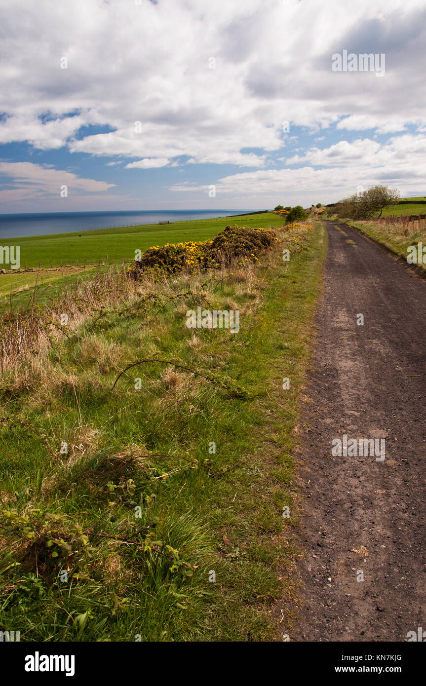 Linea del litorale del yorkshire immagini e fotografie stock ad alta ...