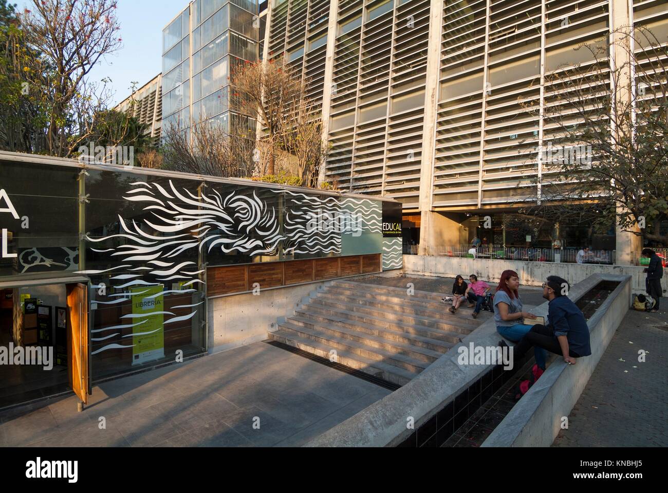 Biblioteca in messico immagini e fotografie stock ad alta risoluzione ...