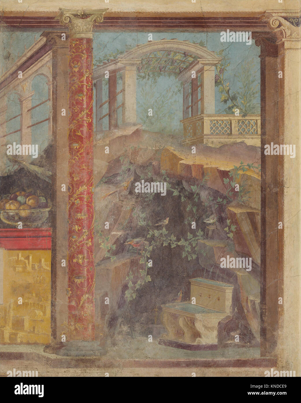 Fannius synistor immagini e fotografie stock ad alta risoluzione - Alamy