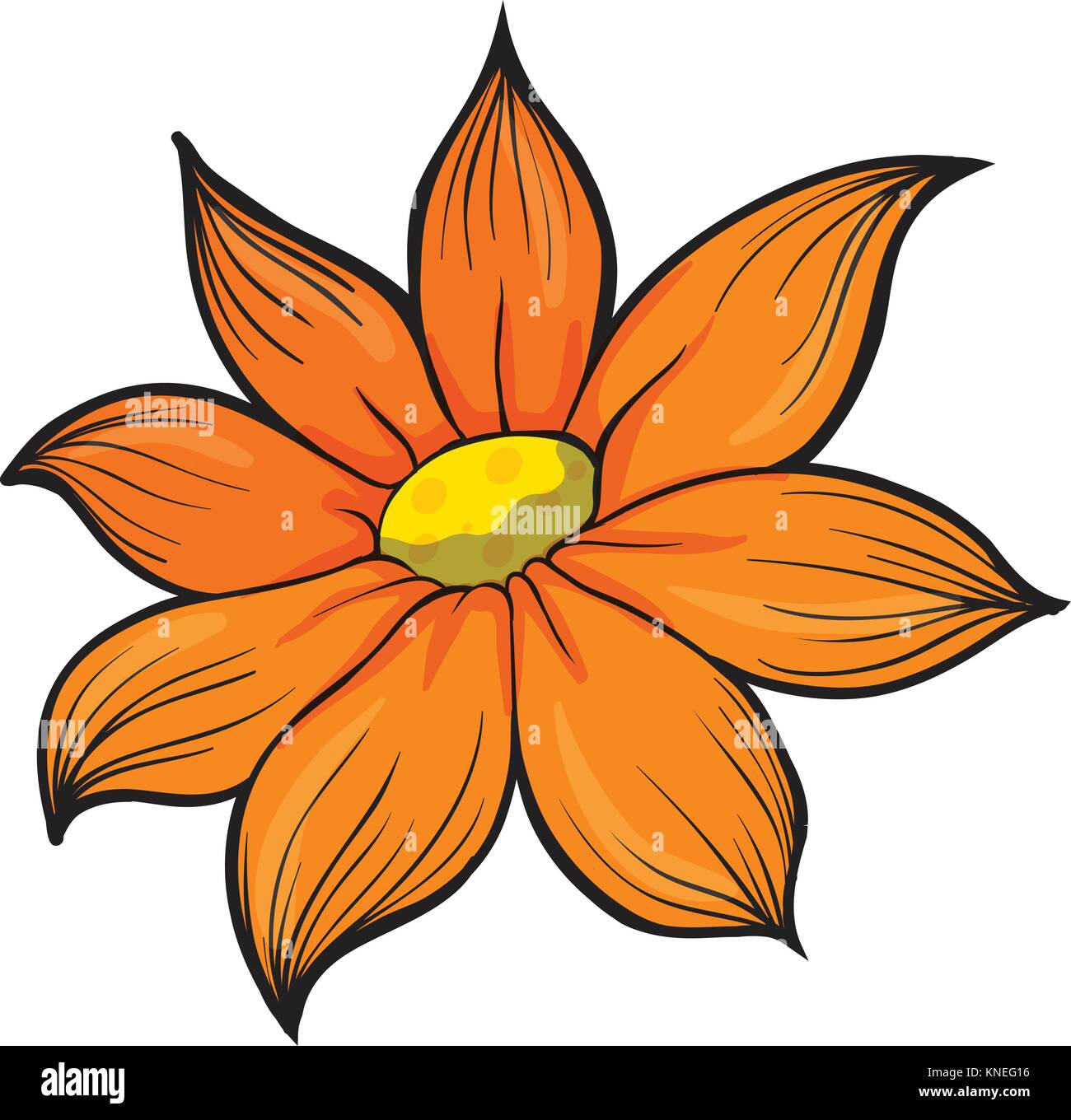 Corolla di un fiore Immagini Vettoriali Stock - Alamy