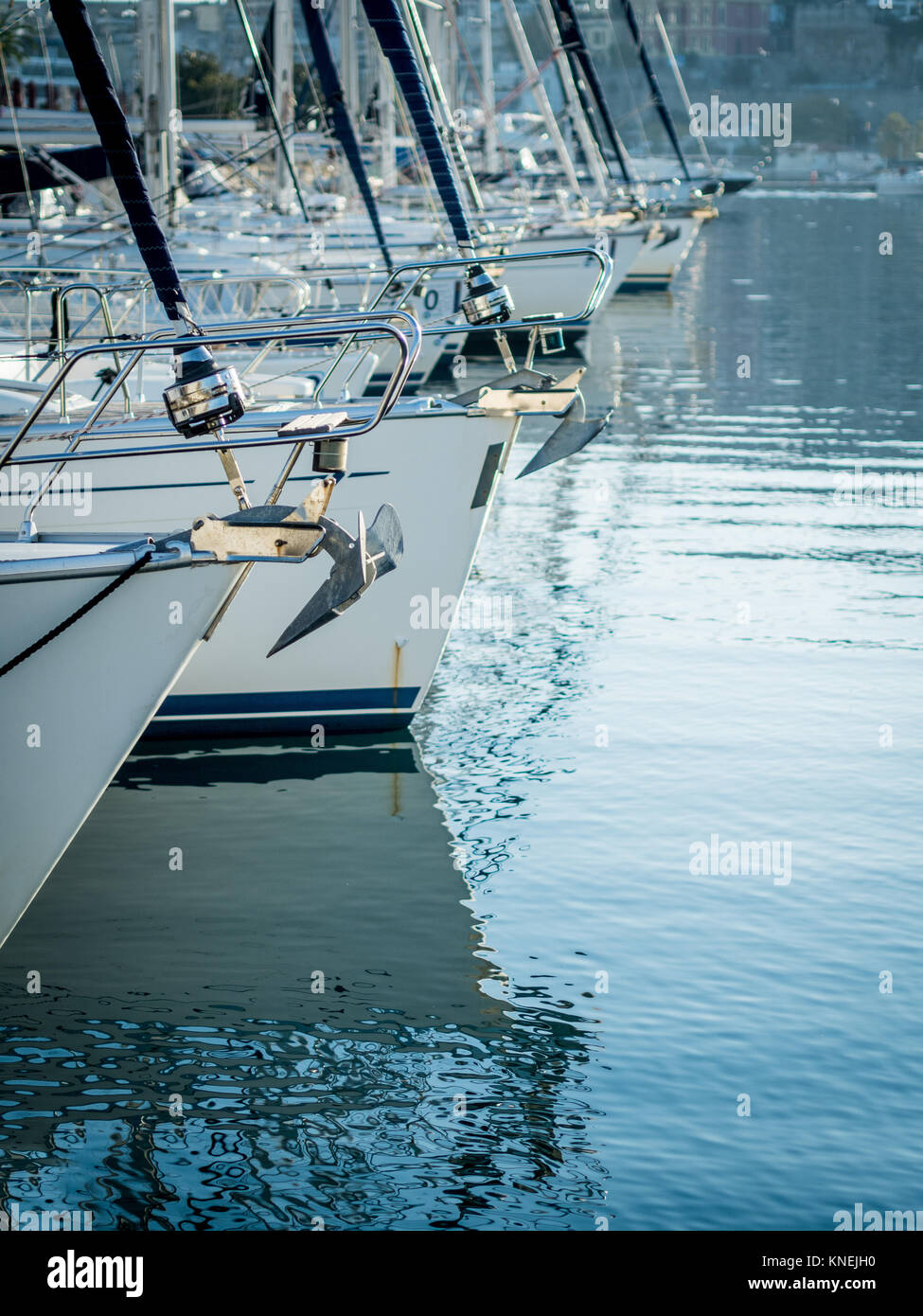 Barca che naviga in un porto turistico immagini e fotografie stock ad ...