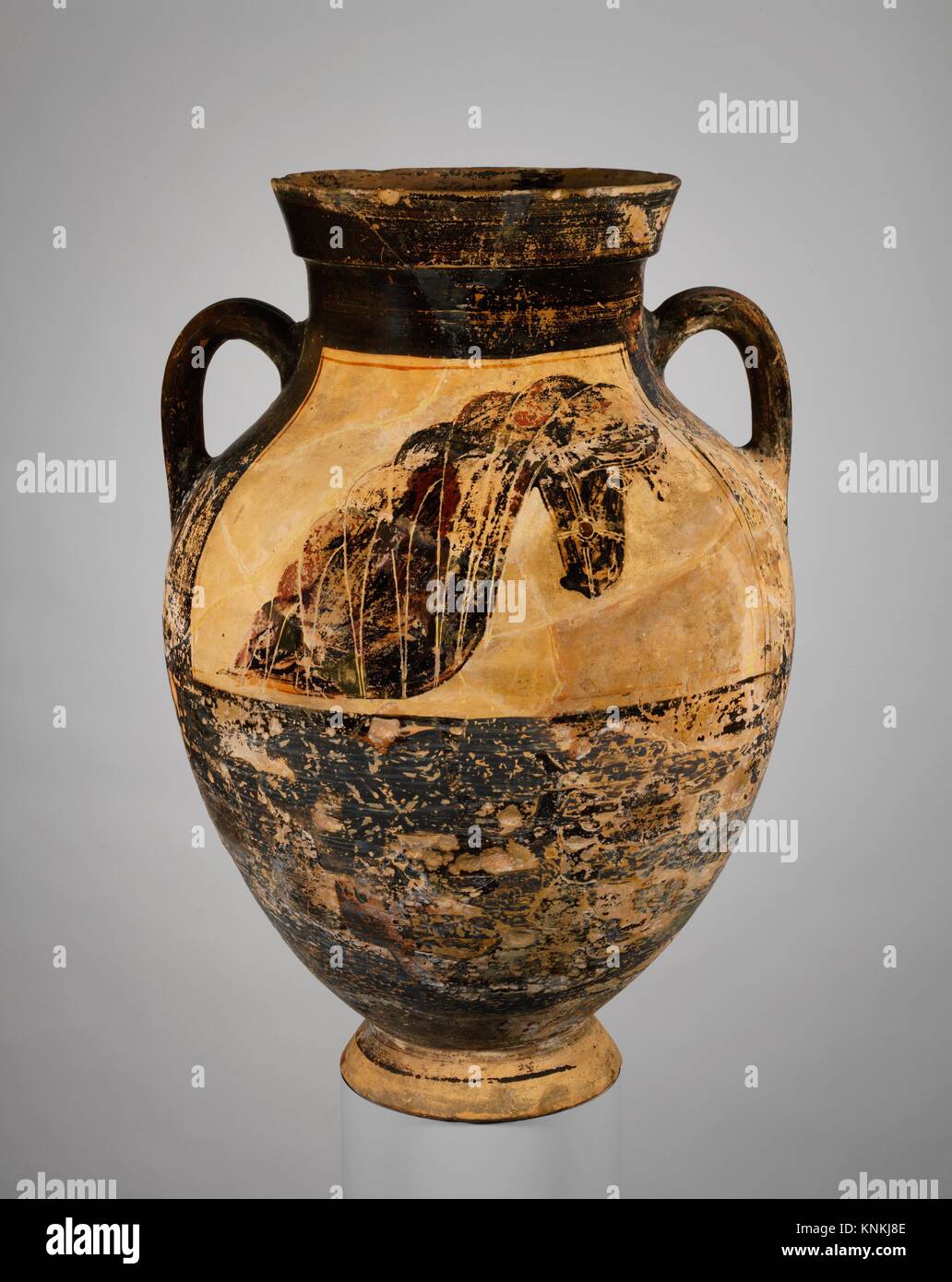 Greek amphora horse immagini e fotografie stock ad alta risoluzione - Alamy