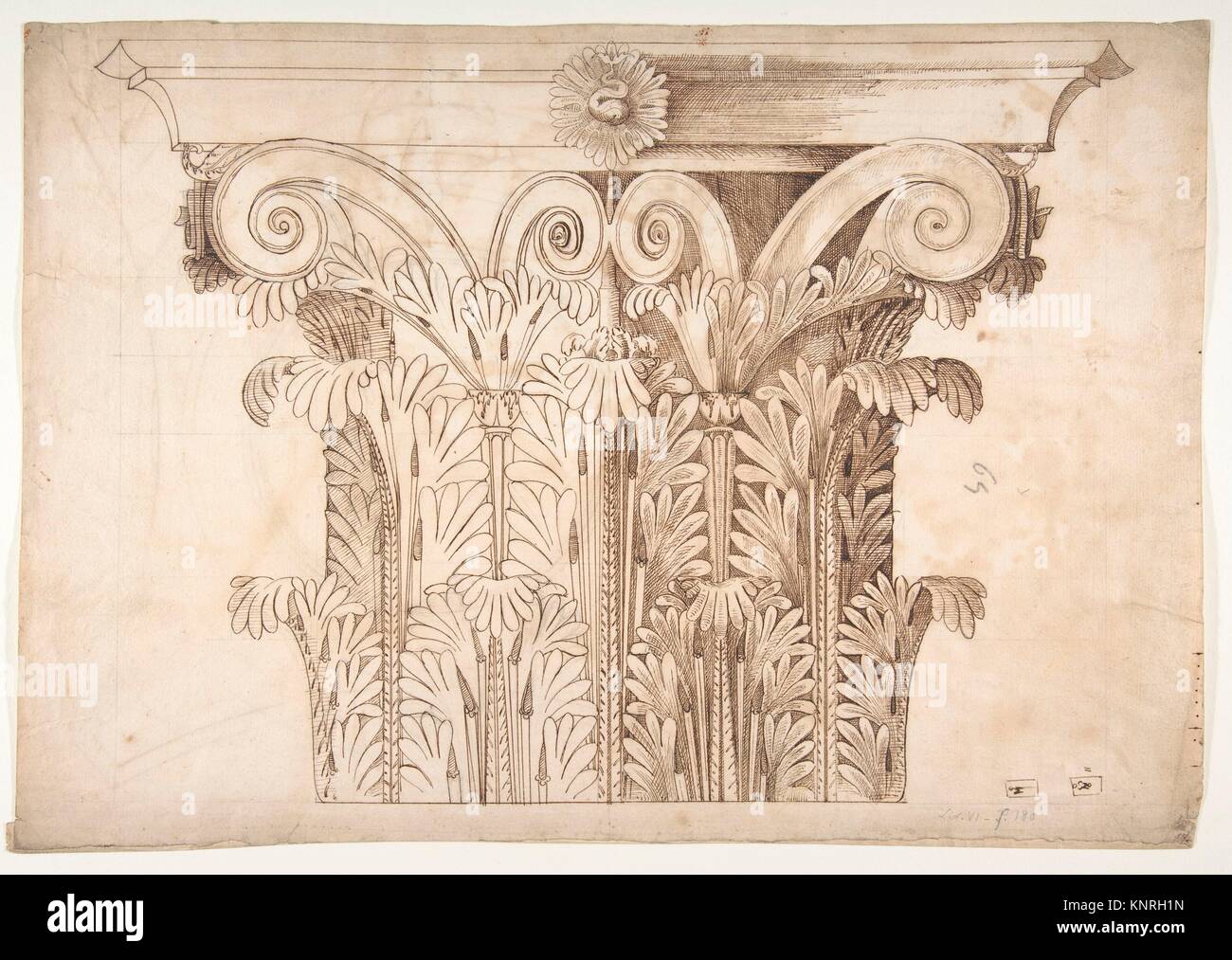 Capitello corinzio disegno immagini e fotografie stock ad alta ...