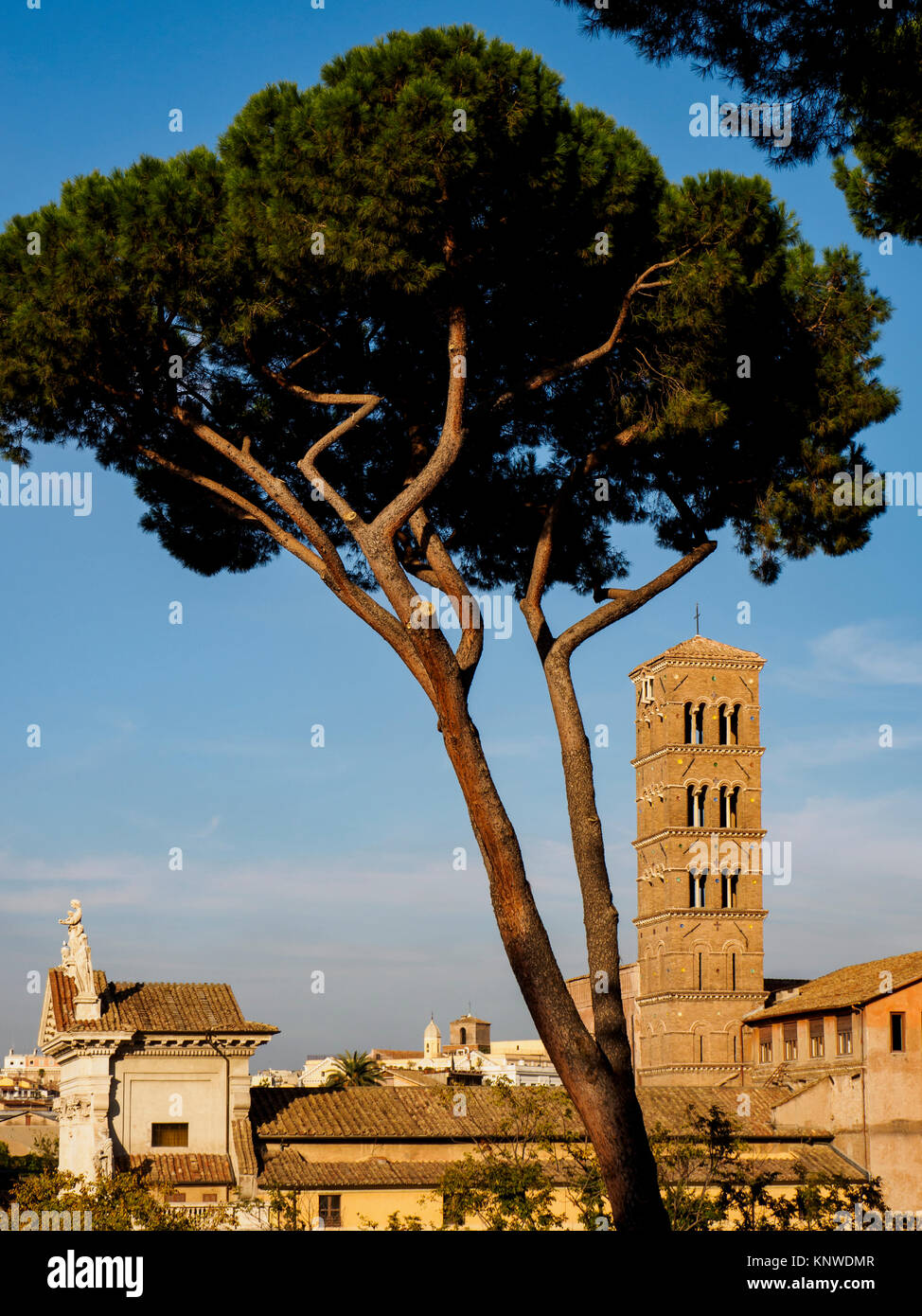 Santa francesca romana basilica immagini e fotografie stock ad alta ...