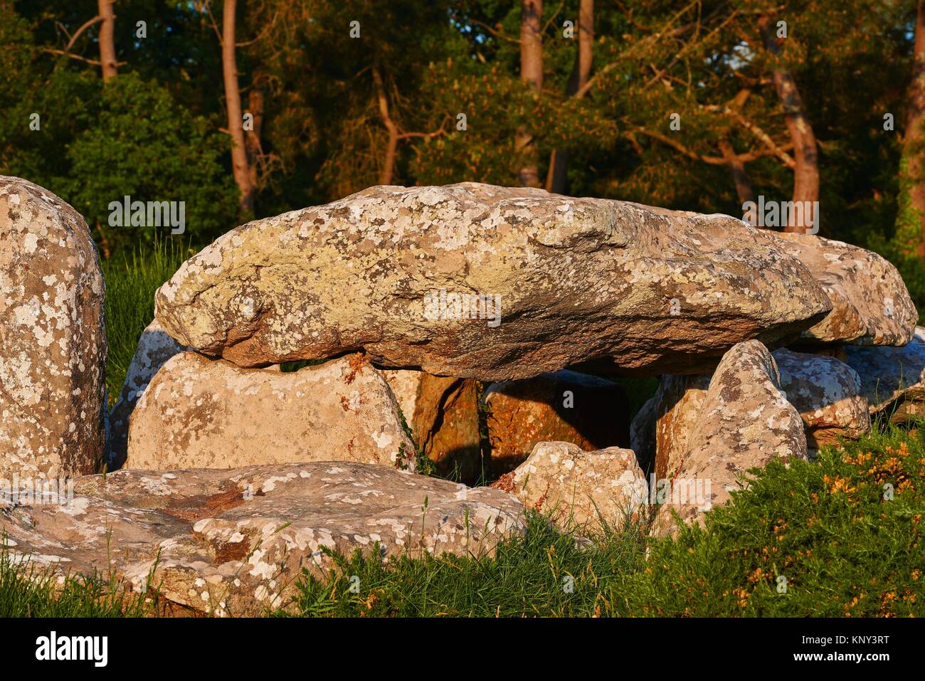 Dolmen megalith bretagne carnac immagini e fotografie stock ad alta ...