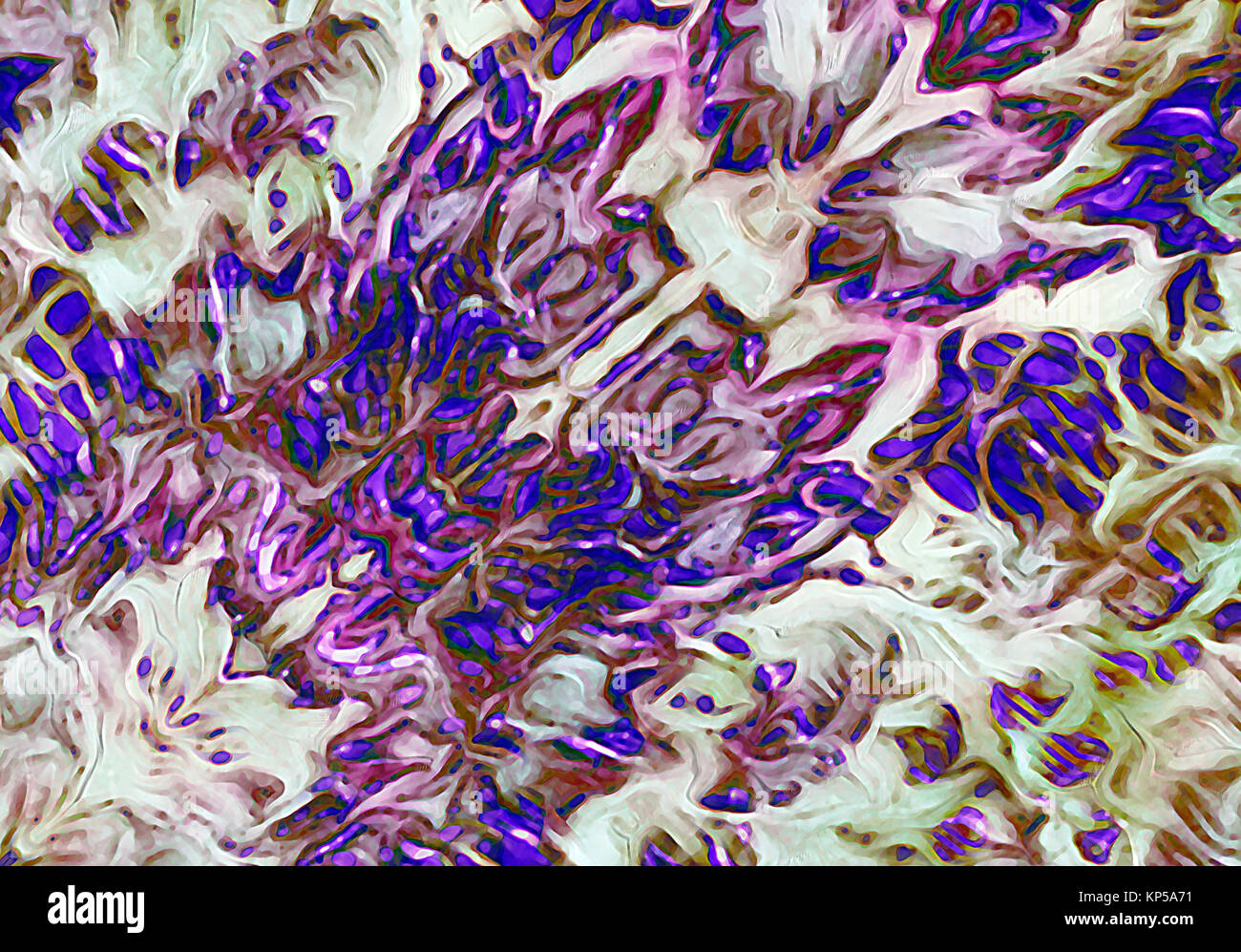 Raster bianco immagini e fotografie stock ad alta risoluzione - Alamy