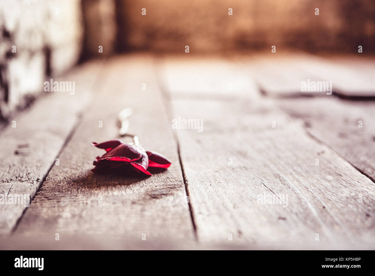 Auschwitz iii monowitz immagini e fotografie stock ad alta risoluzione ...