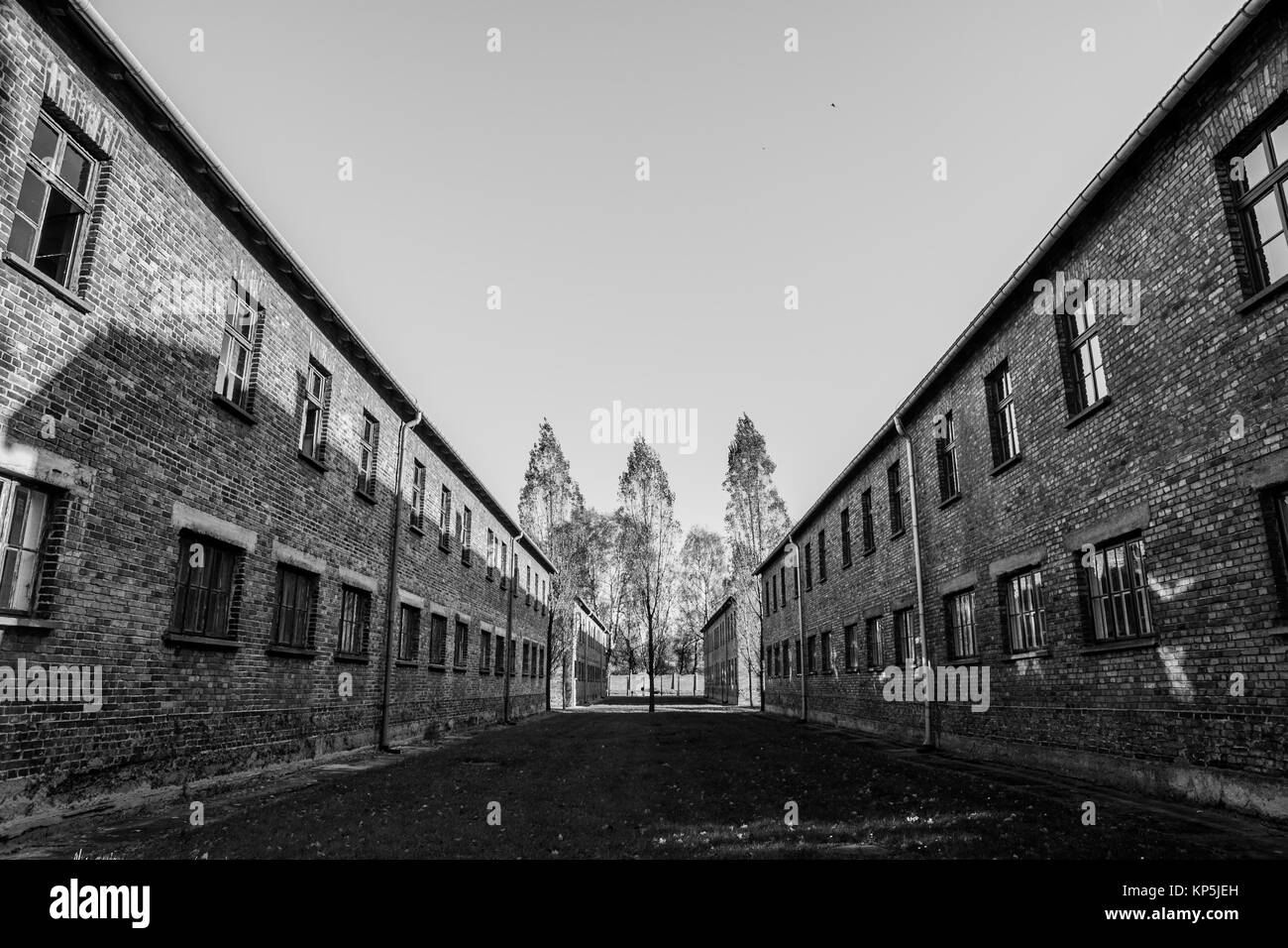 Auschwitz iii monowitz immagini e fotografie stock ad alta risoluzione ...