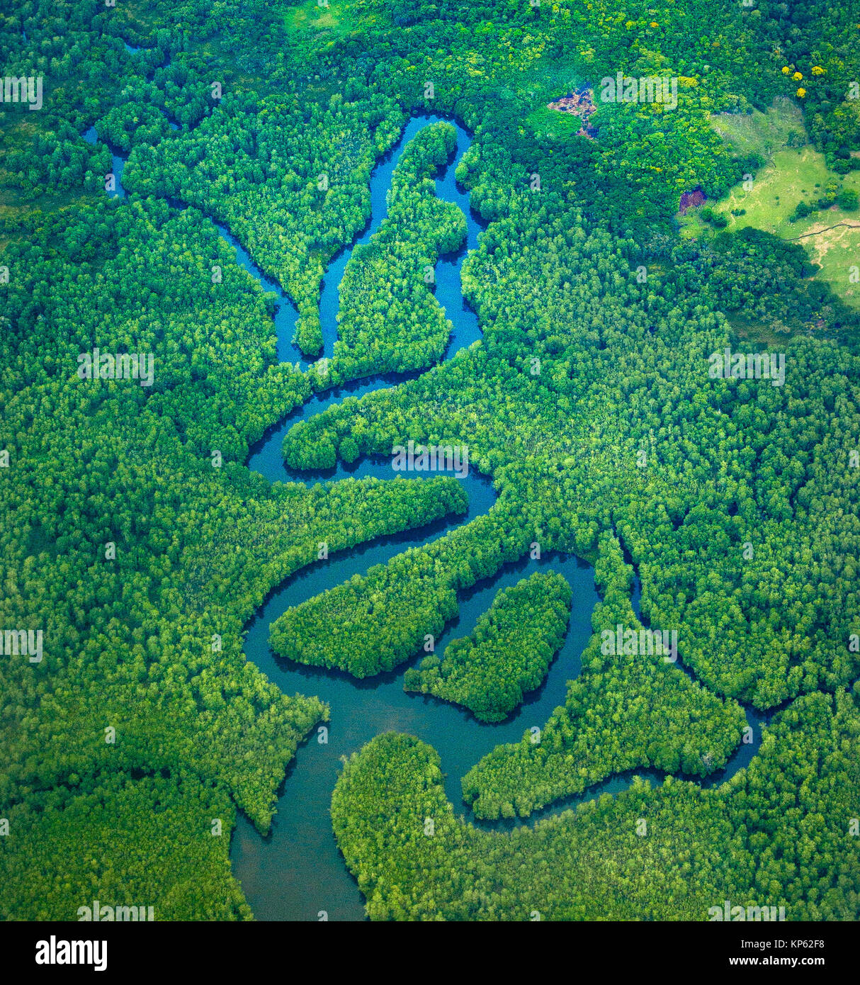 Vista aerea di meandri e cattura fluviale dispone nella foresta di ...