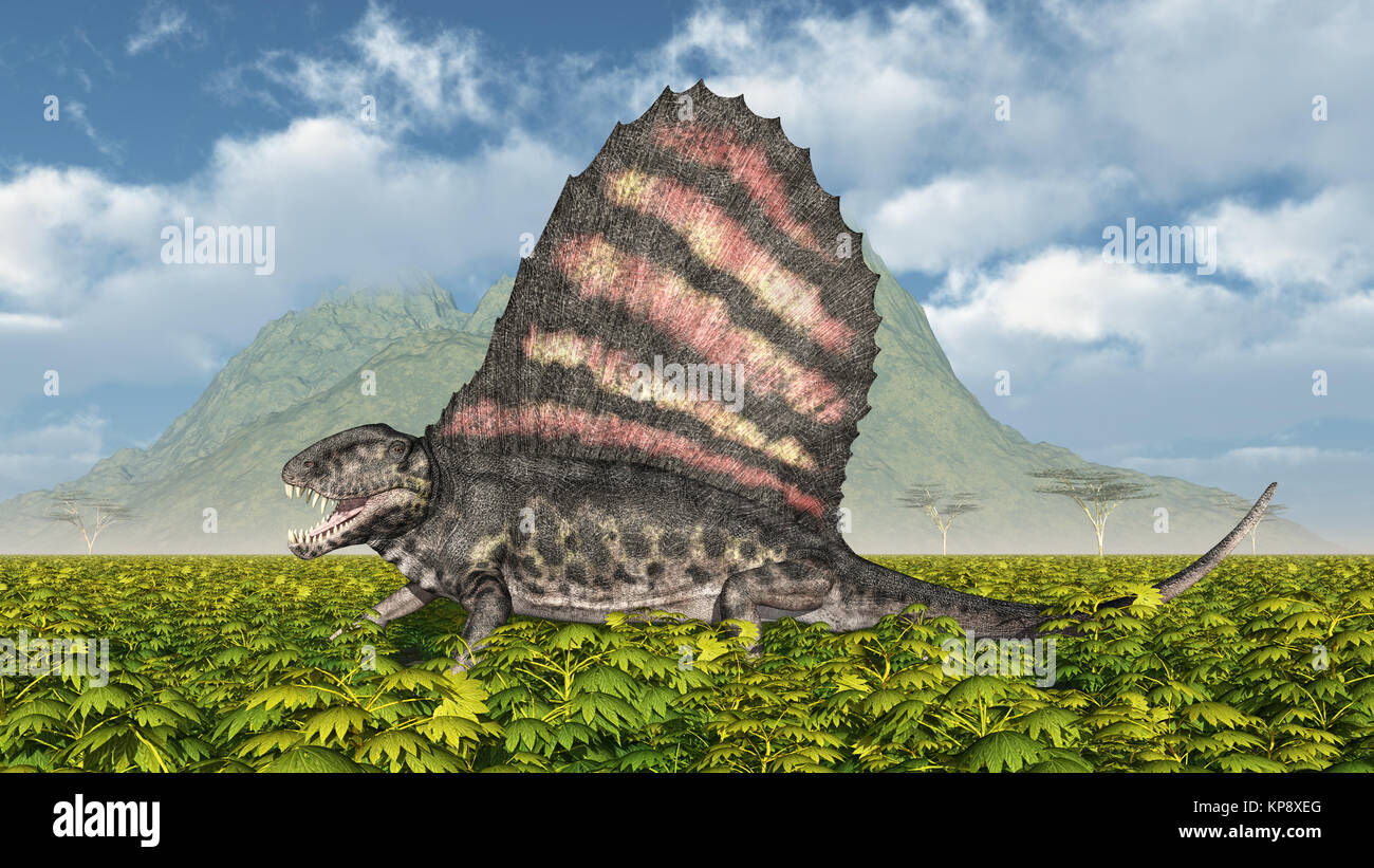 Dinosaur dimetrodon immagini e fotografie stock ad alta risoluzione - Alamy