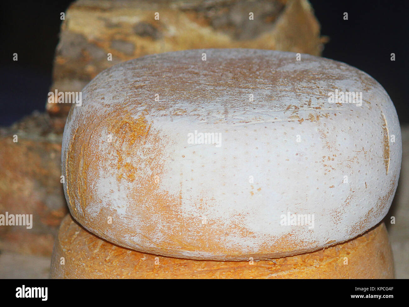 Formare il formaggio immagini e fotografie stock ad alta risoluzione ...