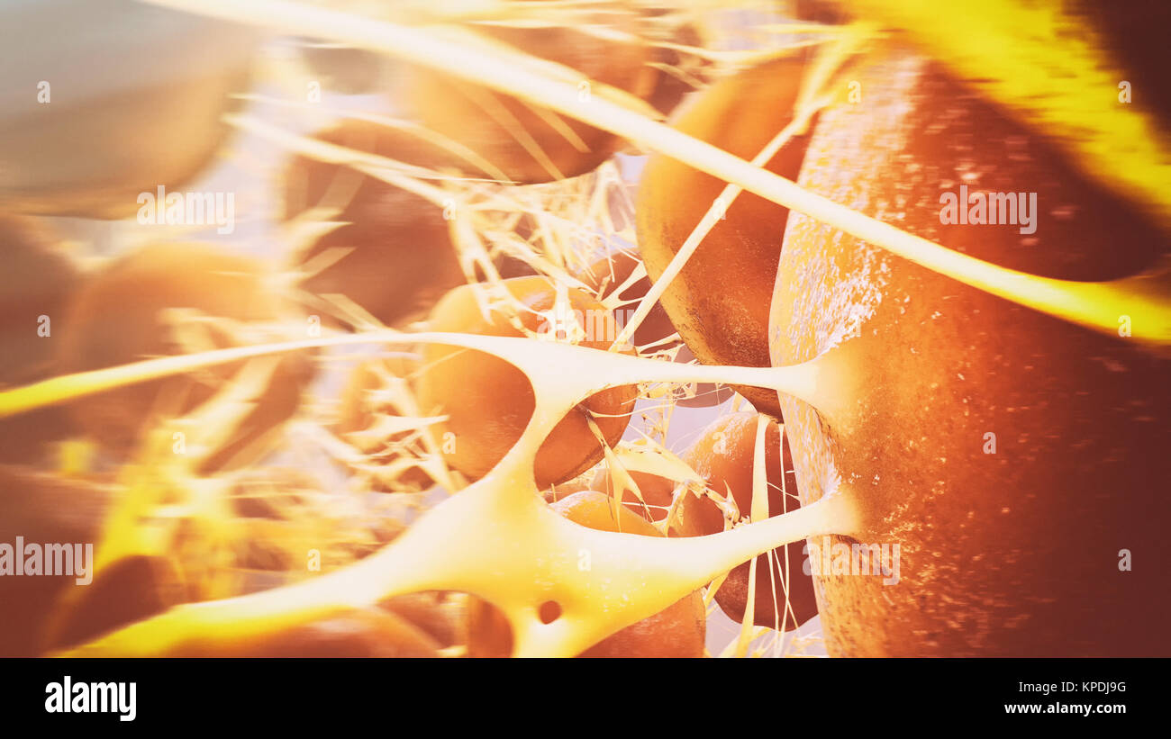 Cellule nervose del cervello umano immagini e fotografie stock ad alta ...