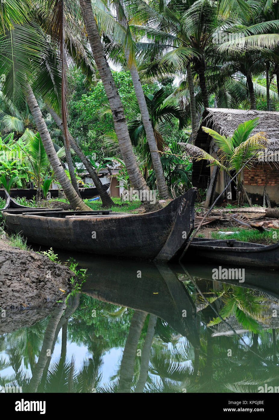 Backwaters del bacino immagini e fotografie stock ad alta risoluzione ...