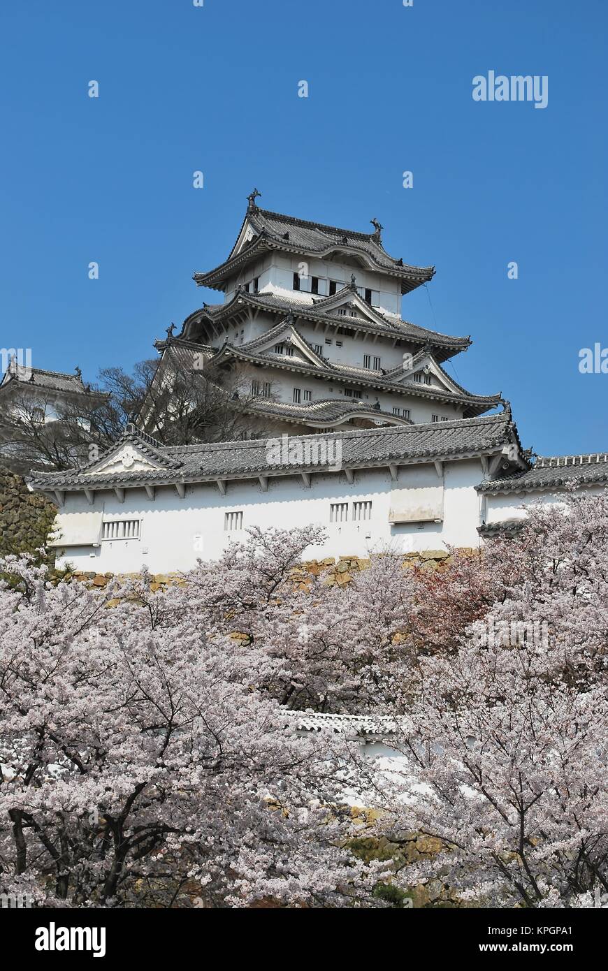 Simbolo di rispetto immagini e fotografie stock ad alta risoluzione - Alamy