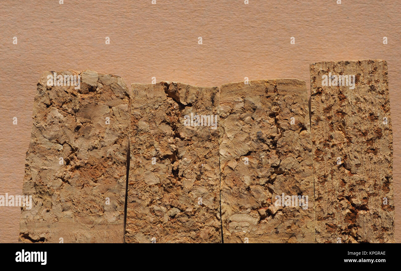 Corteccia di quercia da sughero texture immagini e fotografie stock ad ...