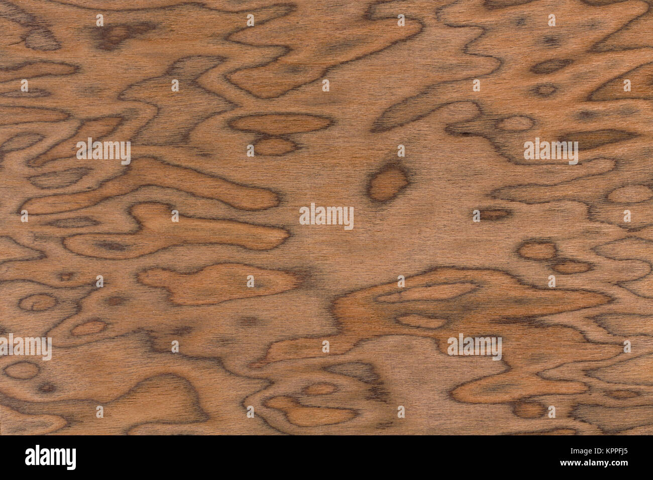 Radica di noce a grana di legno sfondo texture Foto stock - Alamy