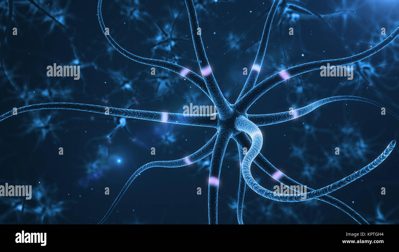 Anatomia delle sinapsi dei neuroni immagini e fotografie stock ad alta ...