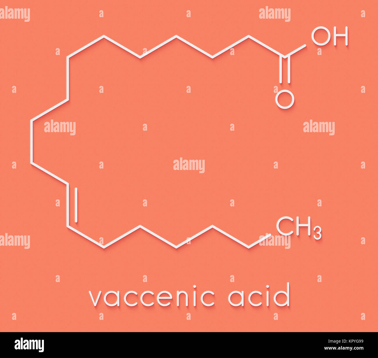 Diagramma Della Molecola Degli Acidi Grassi