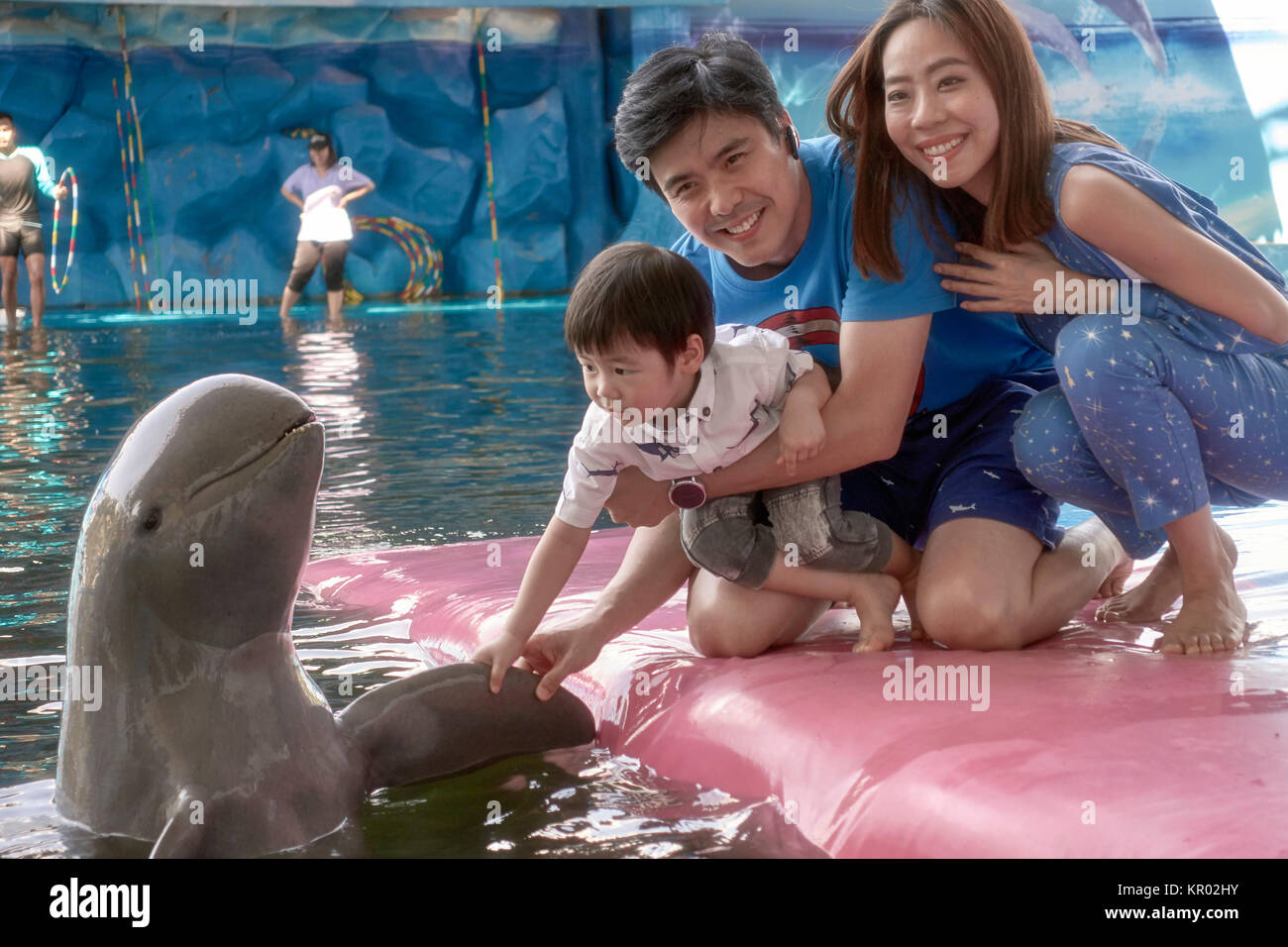 Delfini irrawaddy immagini e fotografie stock ad alta risoluzione - Alamy