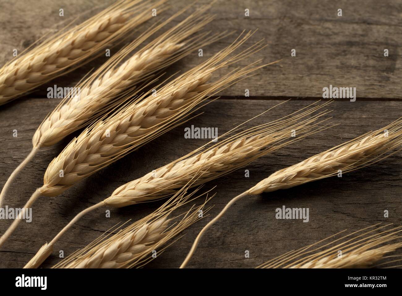 Pianta di segale immagini e fotografie stock ad alta risoluzione - Alamy