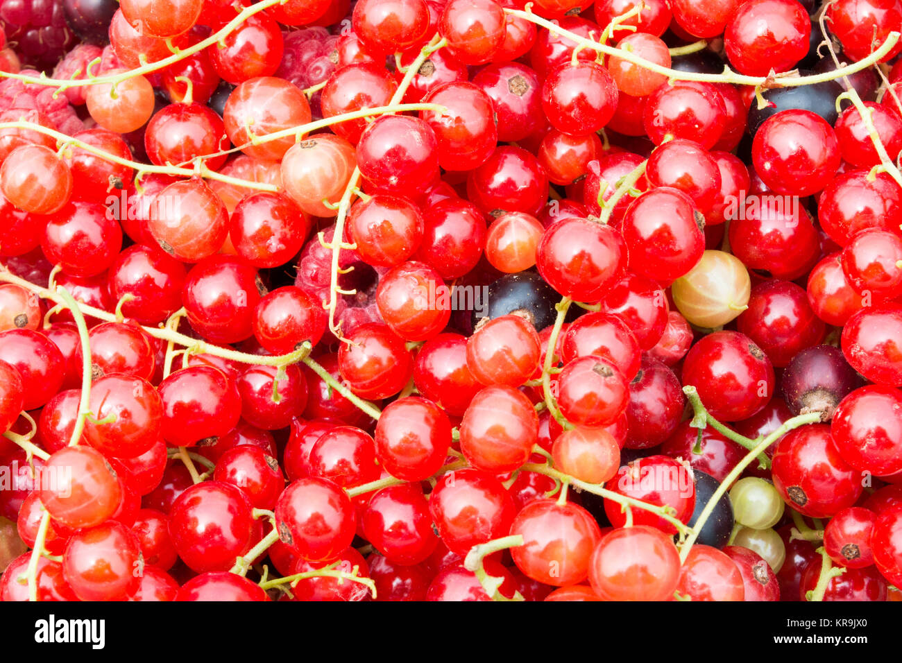 Dieta grafica immagini e fotografie stock ad alta risoluzione - Alamy