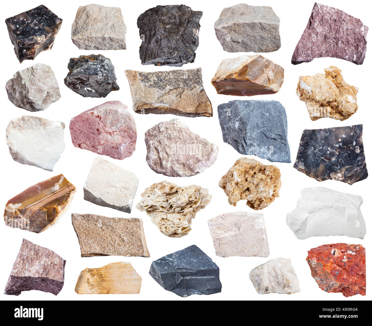 Collezione di rocce sedimentarie esemplari Foto stock - Alamy
