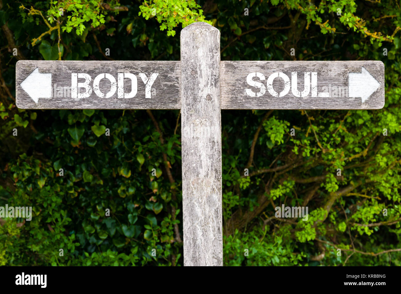 L'anima ha lasciato il corpo immagini e fotografie stock ad alta ...