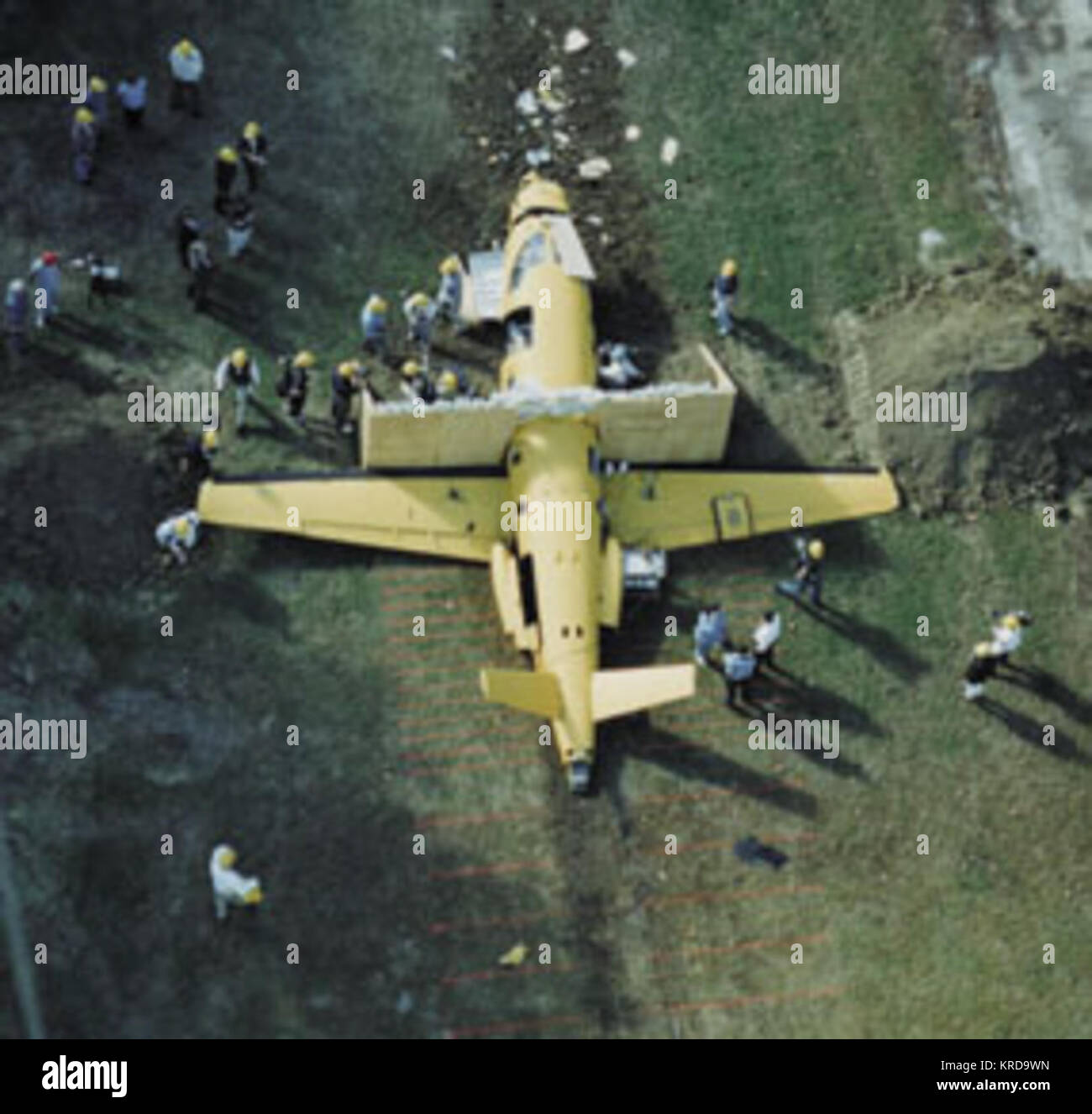 Fan appassionato immagini e fotografie stock ad alta risoluzione - Alamy