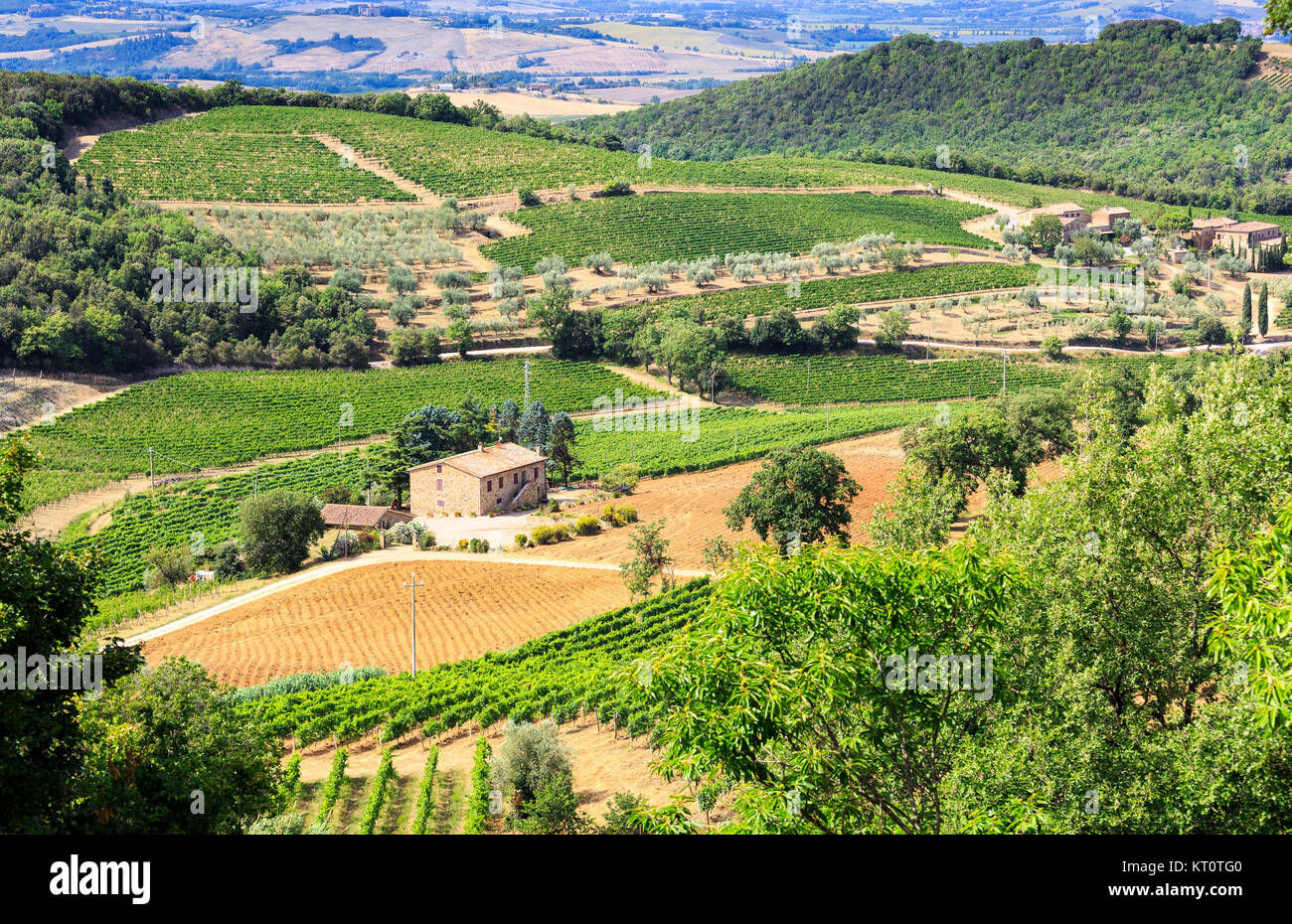 Vigneti toscana italia immagini e fotografie stock ad alta risoluzione ...