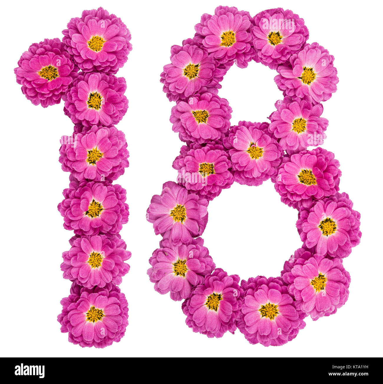 Numero arabo 18, diciotto, dai fiori di crisantemo, isolato su sfondo ... Numero arabo 18, diciotto, dai fiori di crisantemo, isolato su sfondo ...
