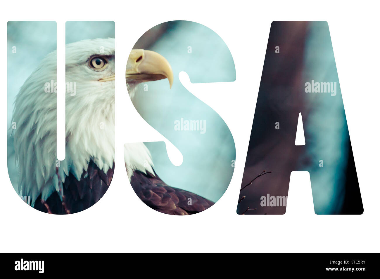 Bald eagle flag usa symbolic immagini e fotografie stock ad alta ...