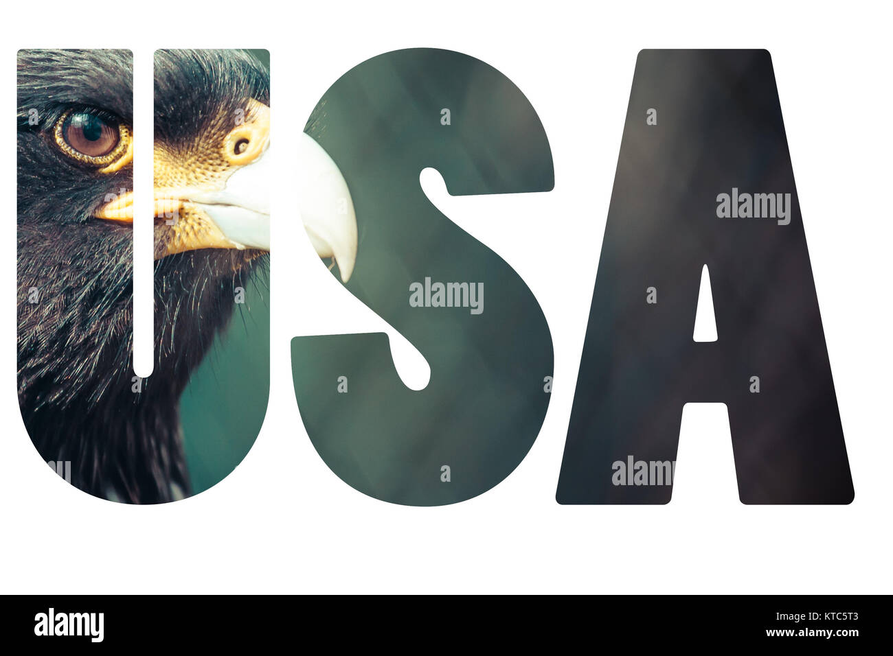 Bald eagle flag usa symbolic immagini e fotografie stock ad alta ...