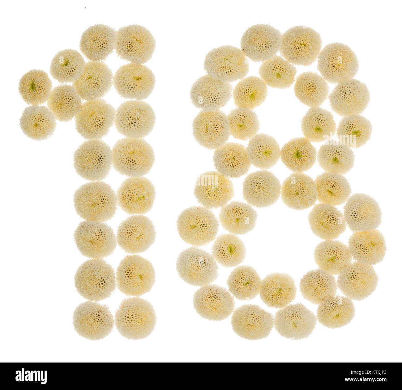 Numero arabo 18, diciotto, da crema fiori di crisantemo, isolato su ... Numero arabo 18, diciotto, da crema fiori di crisantemo, isolato su ...