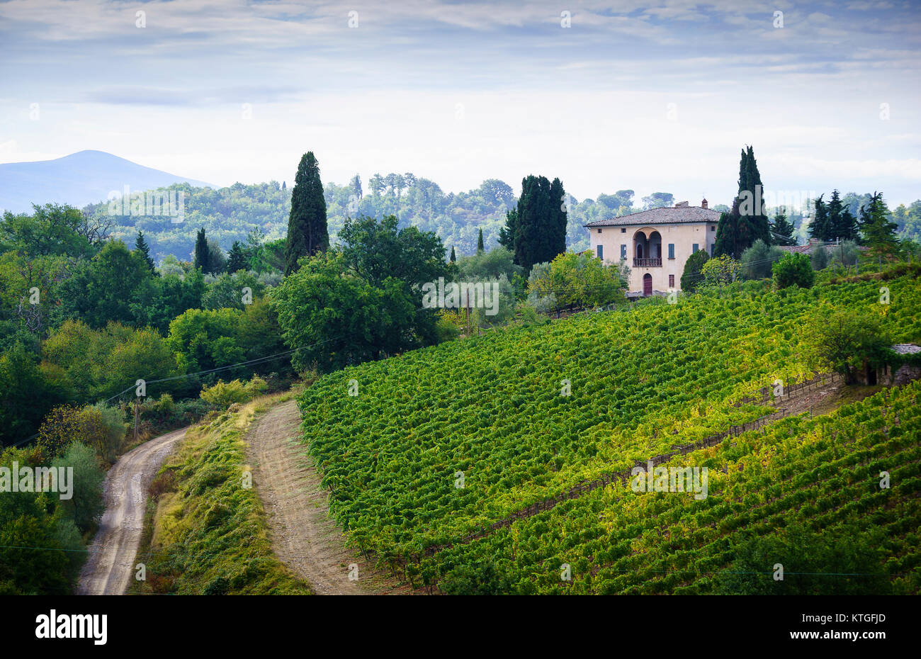 Vigneti toscana italia immagini e fotografie stock ad alta risoluzione ...